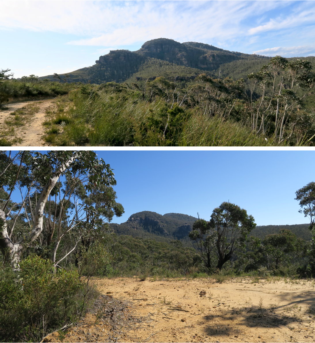 Mountains: Mt Banks & Mt Caley, NSW Blue Mts, Australia