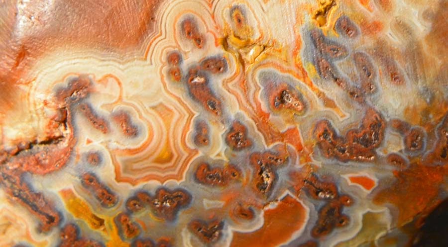 The Agatelady: Adventures and Events: 4th of July Agate Close Ups
