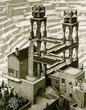 Winging It: Living in Escher's World