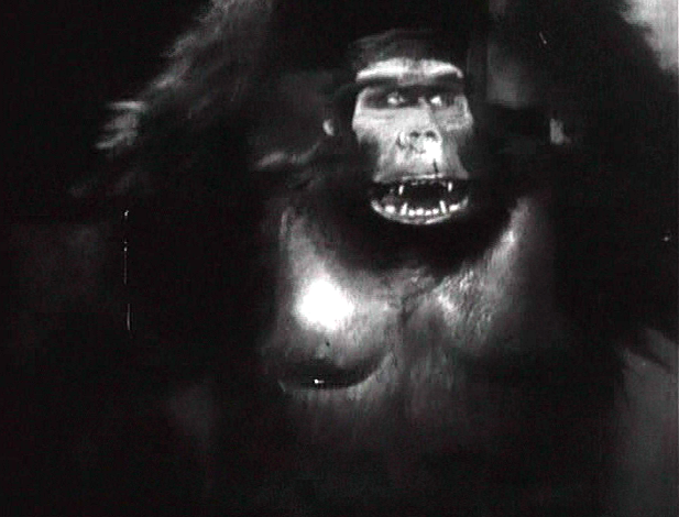 Cult Classic Theater: The Ape Man: 1943