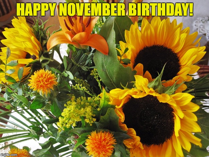 Chick Lit Central: Birthdays in November