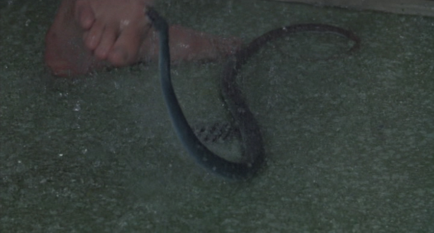 Stale Popcorn: 31 Horrors: Sssssss (#8)