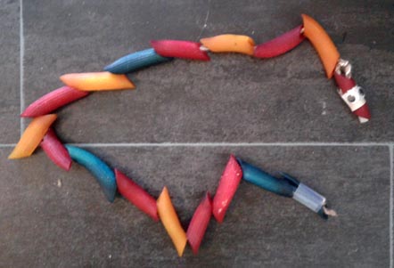 Polly and E: S is for Snake