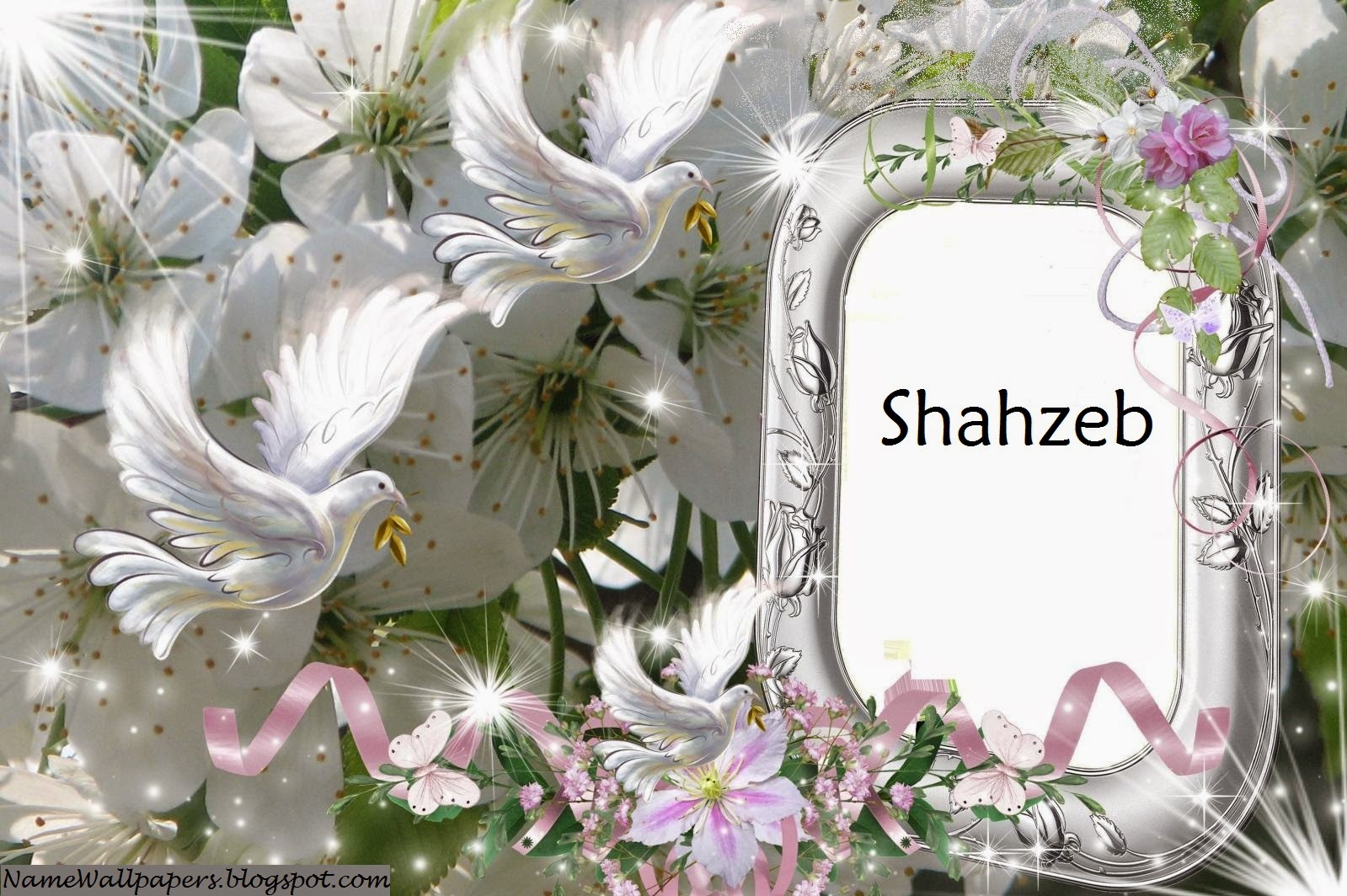 Shahzeb Name Wallpapers Shahzeb ~ Name Wallpaper Urdu Name Meaning Name ...