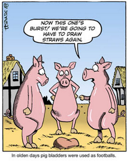 Lesley Powell: From my Easel: Revolution in a Tube