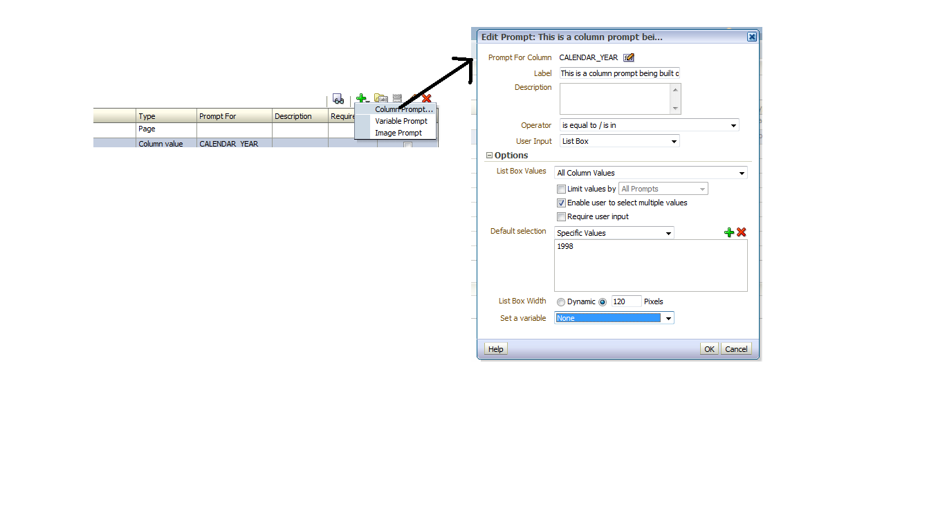 Obiee Two Prompts On The Year Column On The Same Page