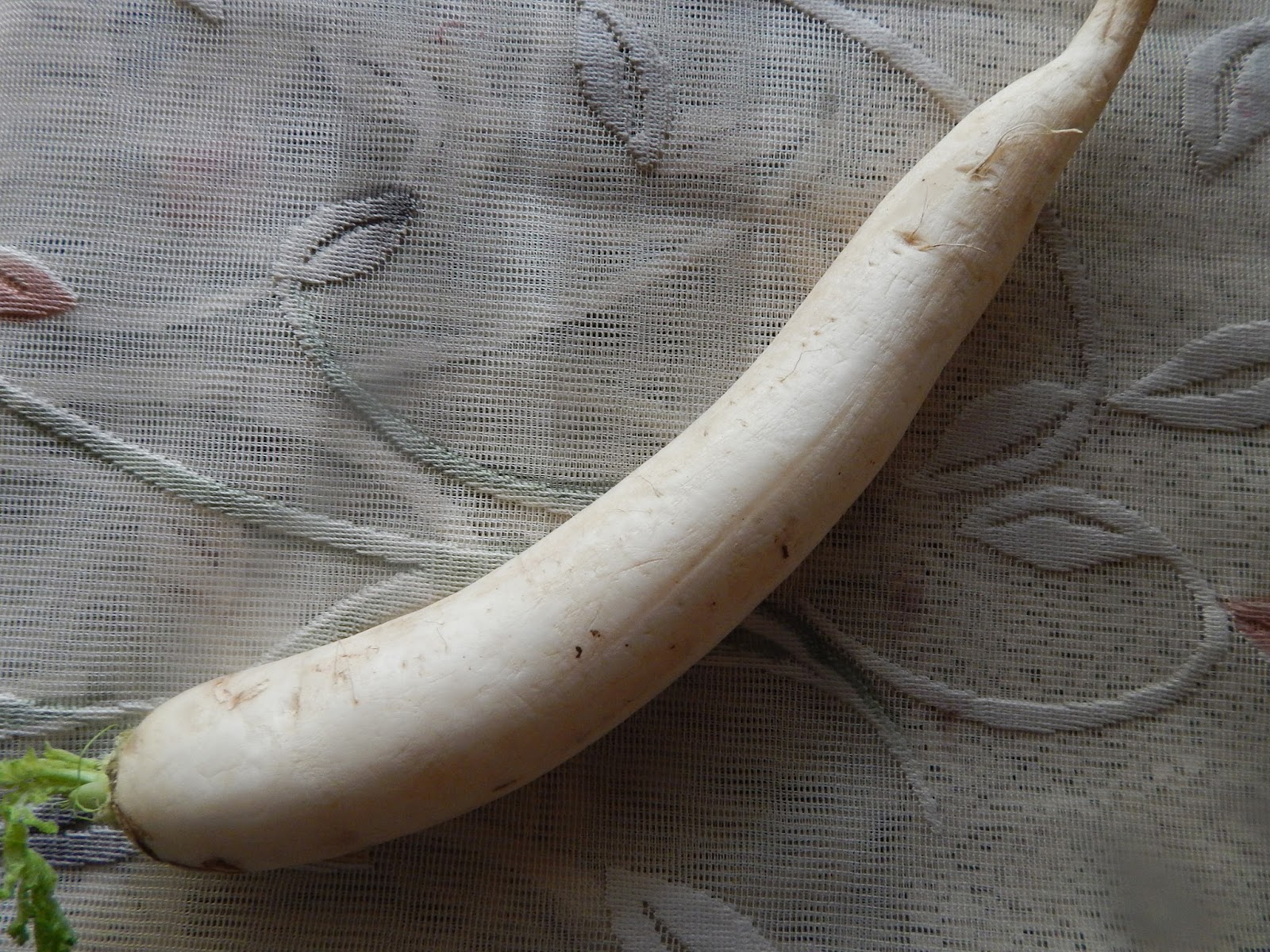 Radish and Tomato Salad - Sneha's Recipe