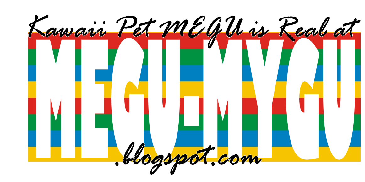 Kawaii Pet MEGU is Real.: Visit our pets or Contact us!