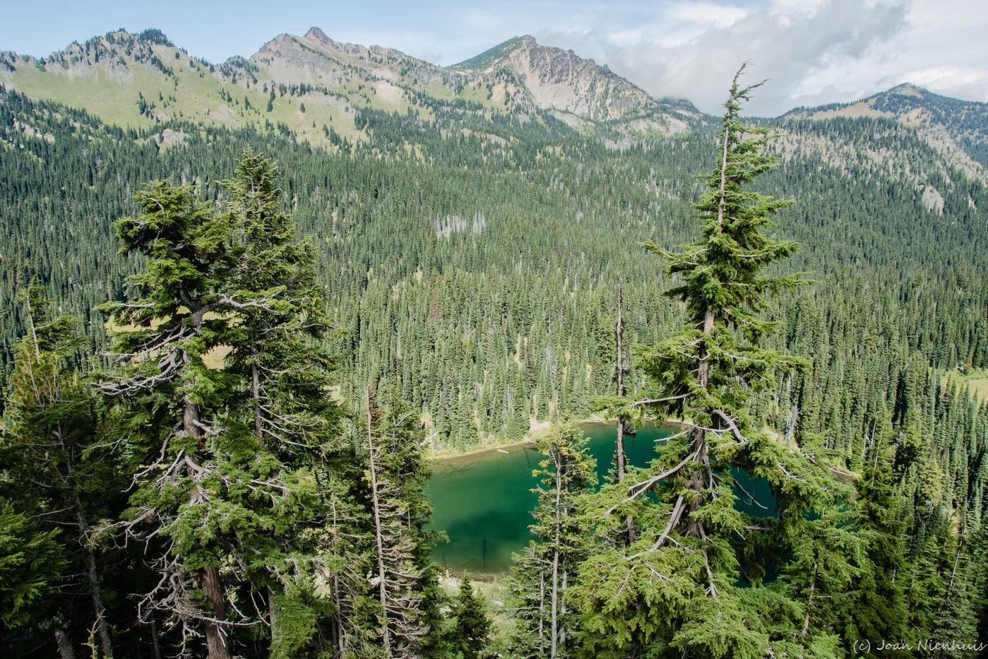 Pacific Northwest Photography: Mt. Rainier National Park: Sunrise Point