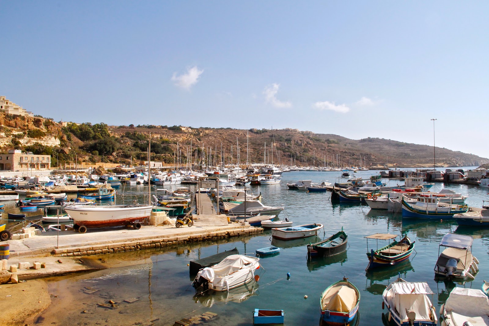 Bark and Purl: Gozo (Malta)