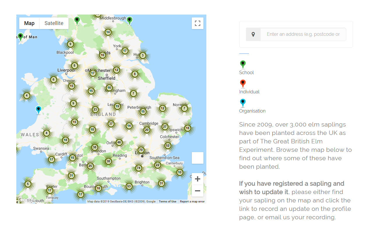 Lotta Plot - the allotment blog: Old elms, new elms