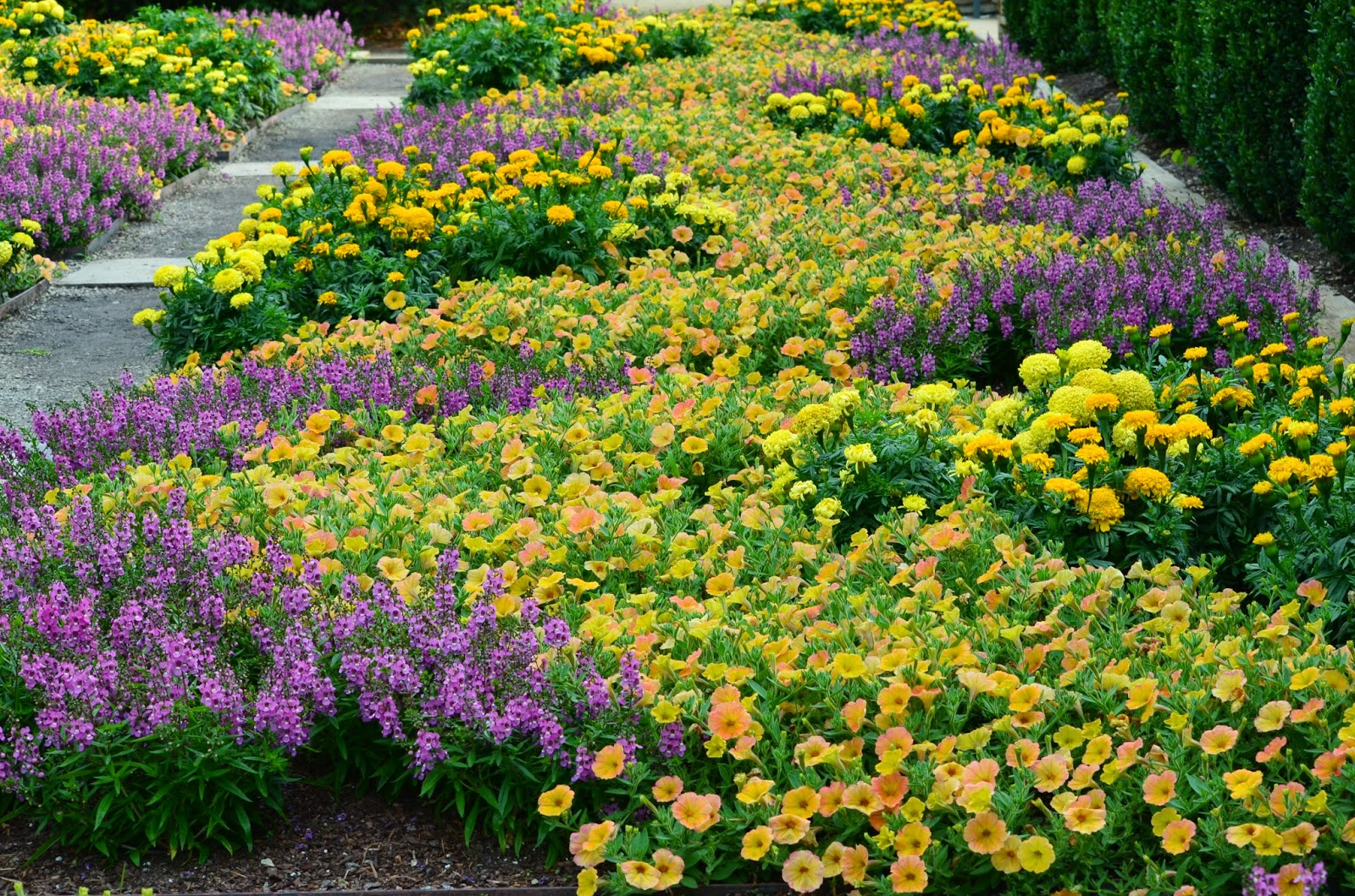 bwisegardening: Spring Is Here, Do You Know Where Your All-American ...