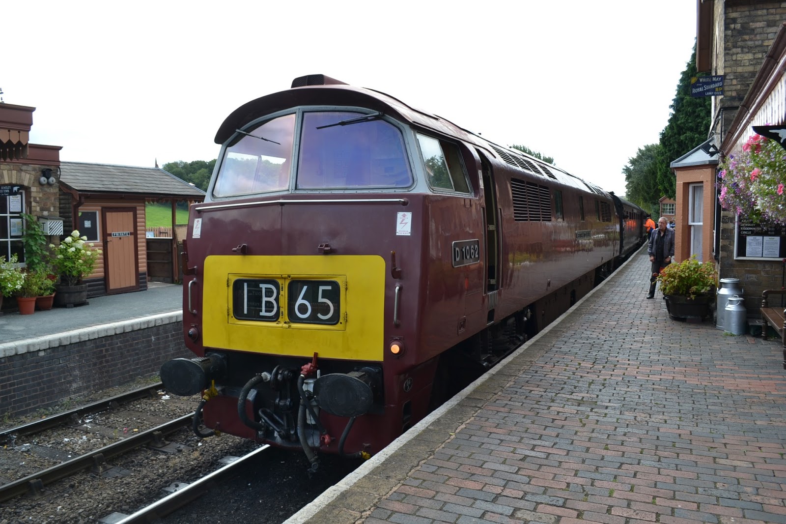 British Diesels and Electrics: Class 52 (BR Swindon/Crewe 2,700hp Type ...