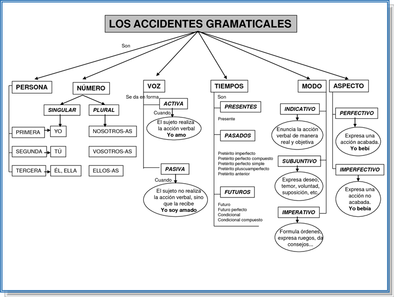 lengua fácil y literatura divertida: TEMA 5 3º