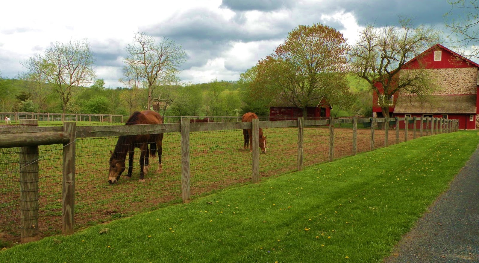 Only in Bucks County!: Only in Bucks County: Barns of Bucks