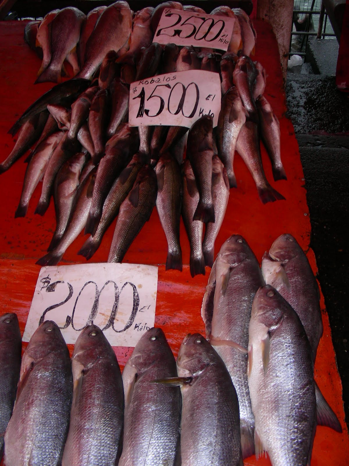 Cocinarte Chile: Cocina Chilena, del mar al plato.