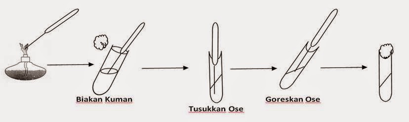 Artanta-Bagus: Uji Media Biokimia