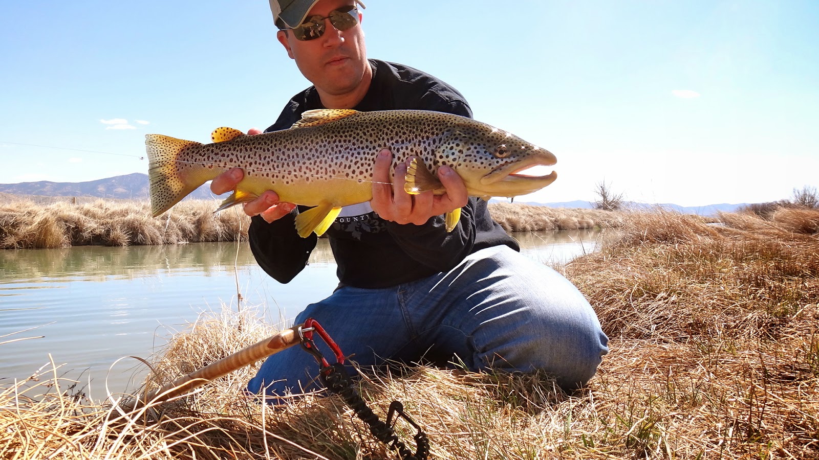 The Fly Syndicate: Fly Fishing Northern Nevada - The Trifecta