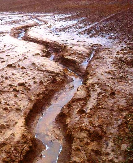 Rainfall and Settlement Behavior of Foundation Soil, Loess