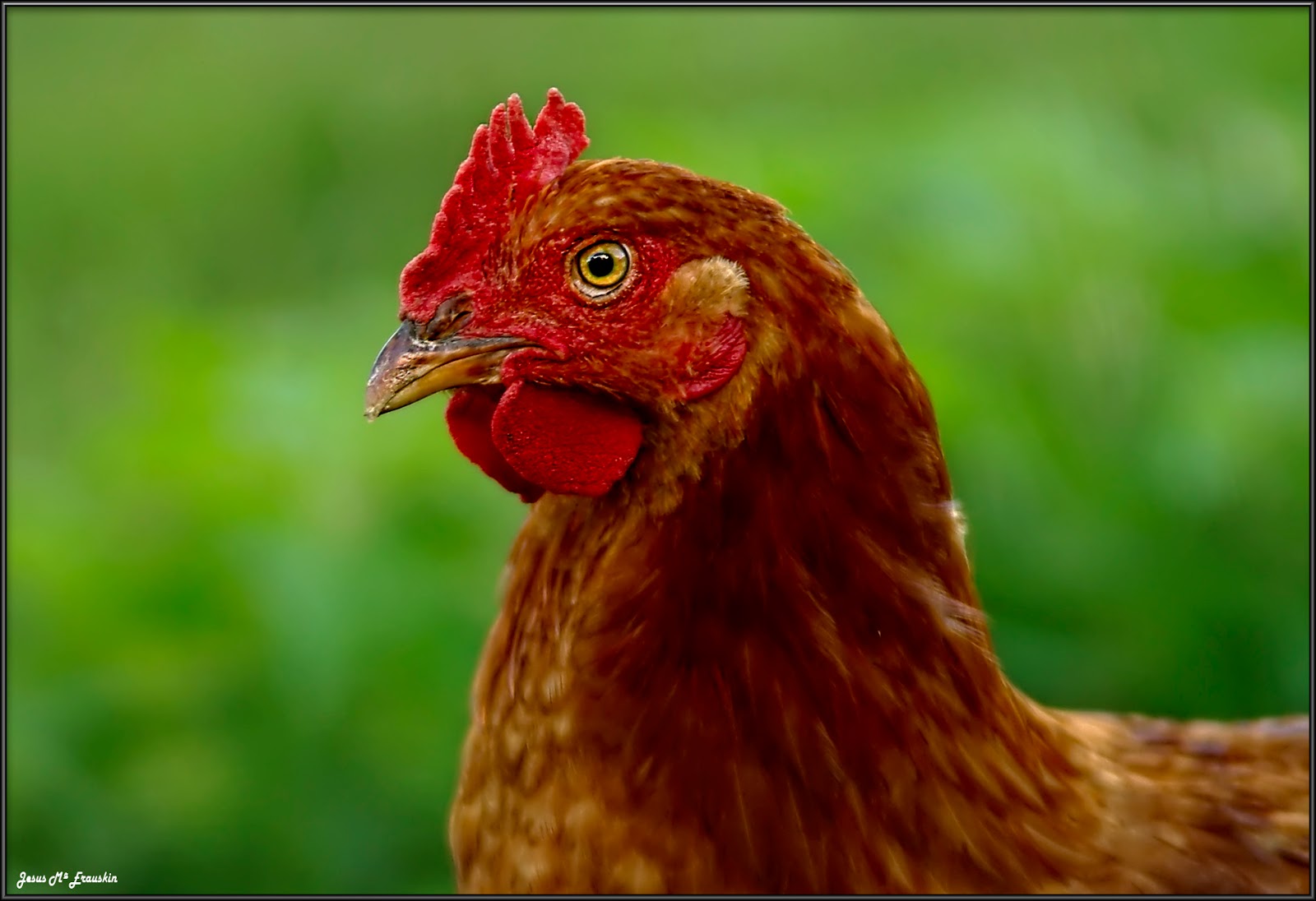 Blog de Jesus Mari Erauskin: 2014