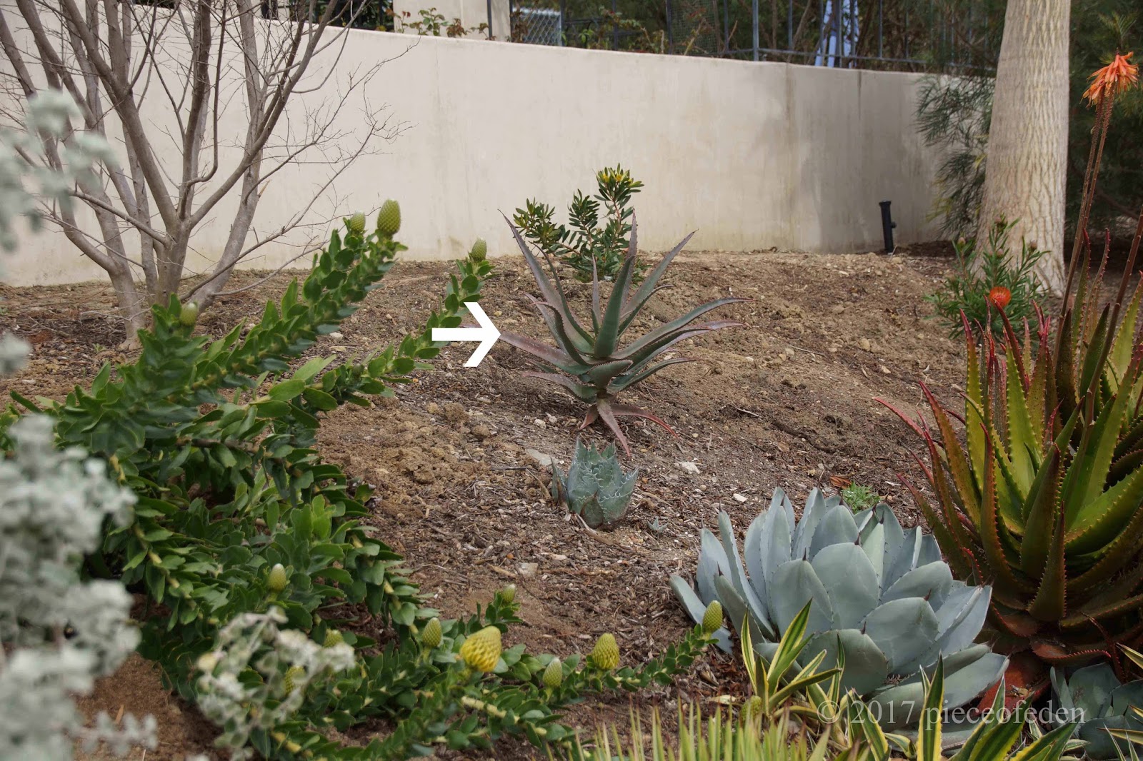 Winter Project 2017 Complete (For Now)