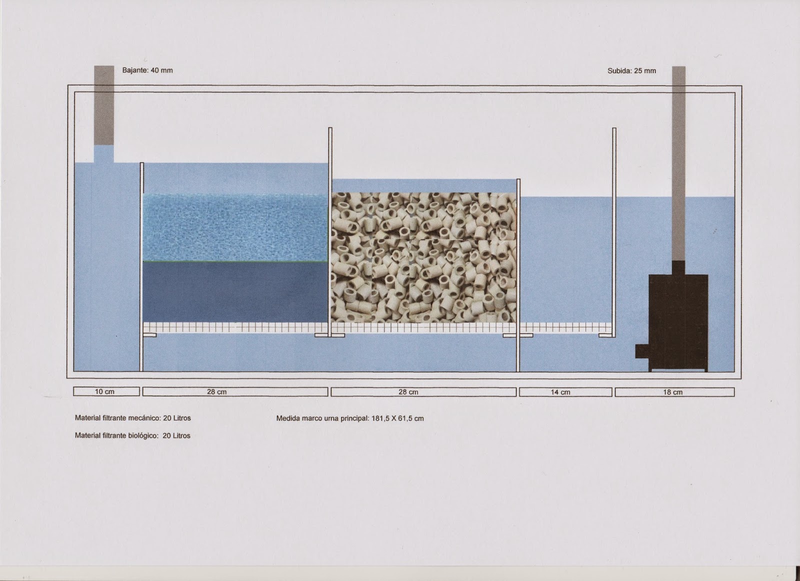 Acuario Práctico: Planificando acuario I