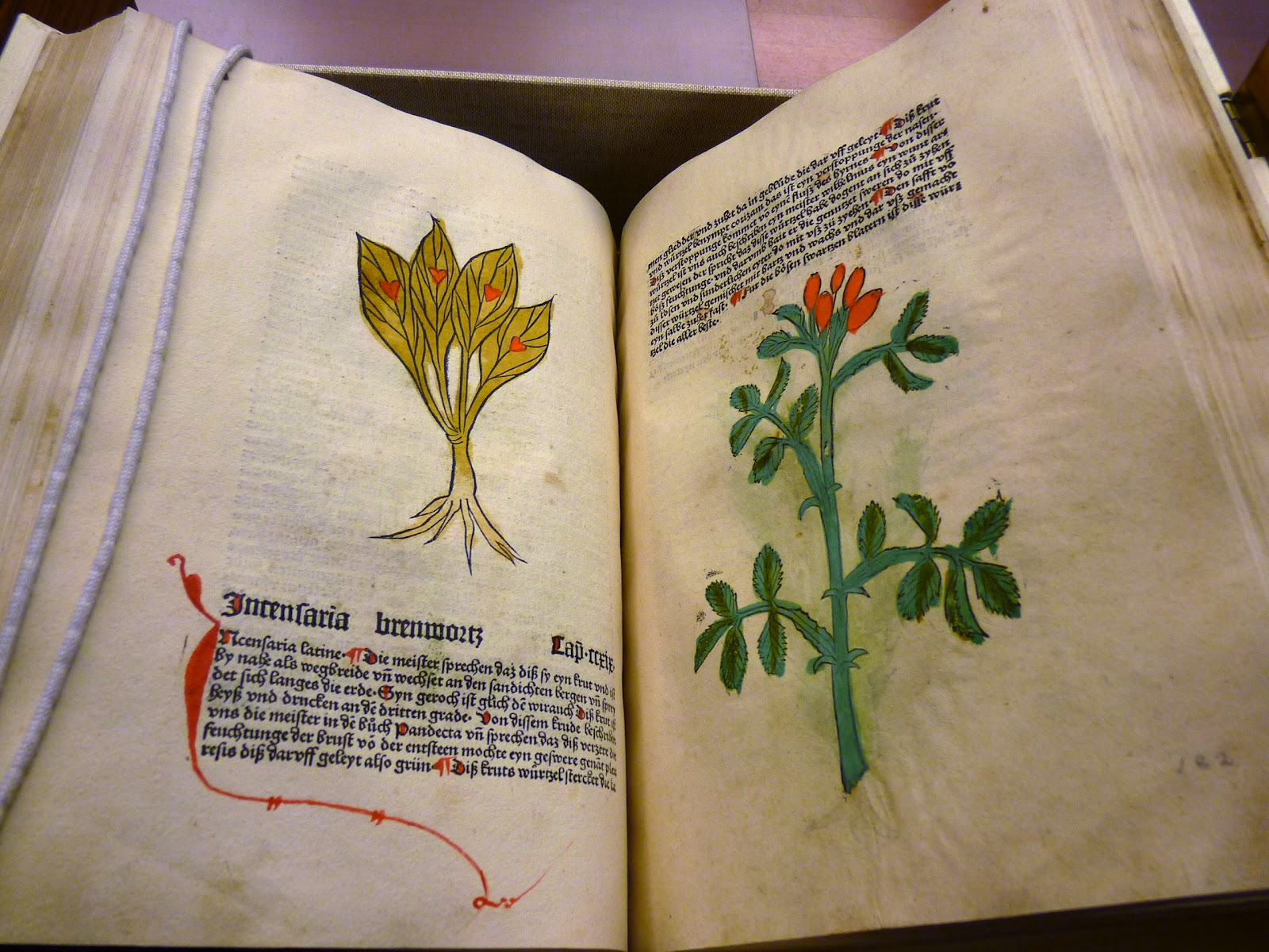 Discovering Botanical Art: Early Botanical Works in Woodcut