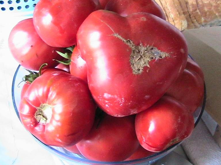 Hellena ...din bucataria mea...: Dulceata de rosii