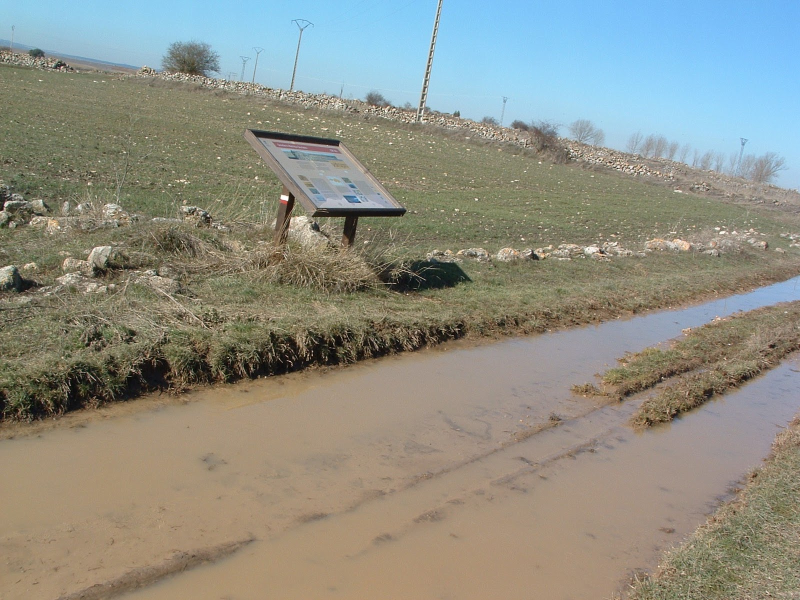 Histórico de Noticias de Baraona