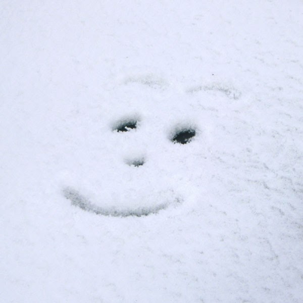 365 Projects: Snow Smile Face - Snow Photograph