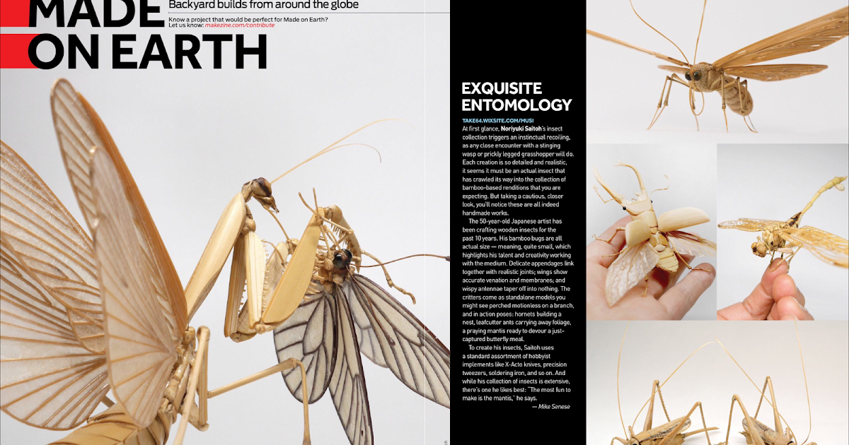 Eureka！: Bamboo Insects [Noriyuki Saitoh]