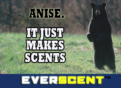 Sigma Outdoors EverScent: Anise/Licorice Scent for Bear Hunting
