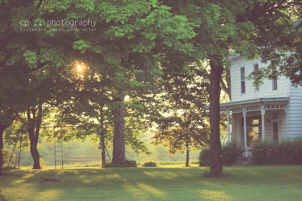 sassafras: an evening on the farm :: farm photography