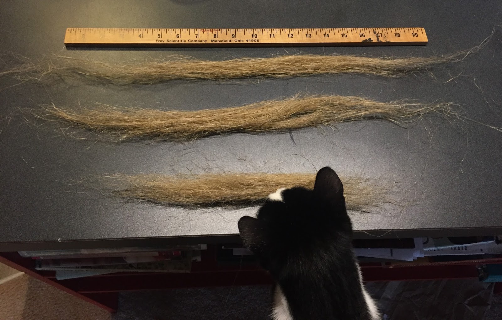 Ran Away From The Subscriber: Flax to Linen, the 1765 Way, Part VI ...