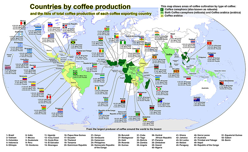 THE ROUTE OF THE COFFEE.