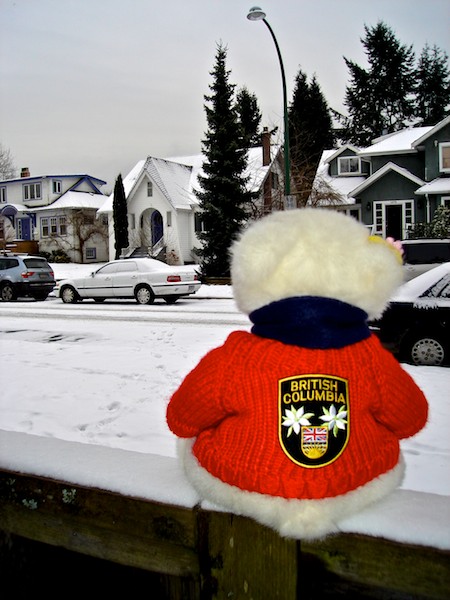 SATW Canada Travelling Teddy Bear Blog: Bears Get Around: Churchill ...