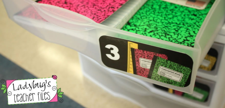 Time-Saving Organizational Systems - Ladybug's Teacher Files