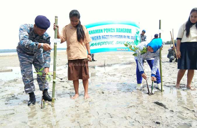 Lanal Saumlaki Tanam 1.500 Bakau Di Bomaki - Maluku Post