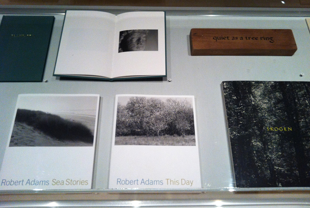 Something Between Want and Desire: Robert Adams: The Place We Live, A ...
