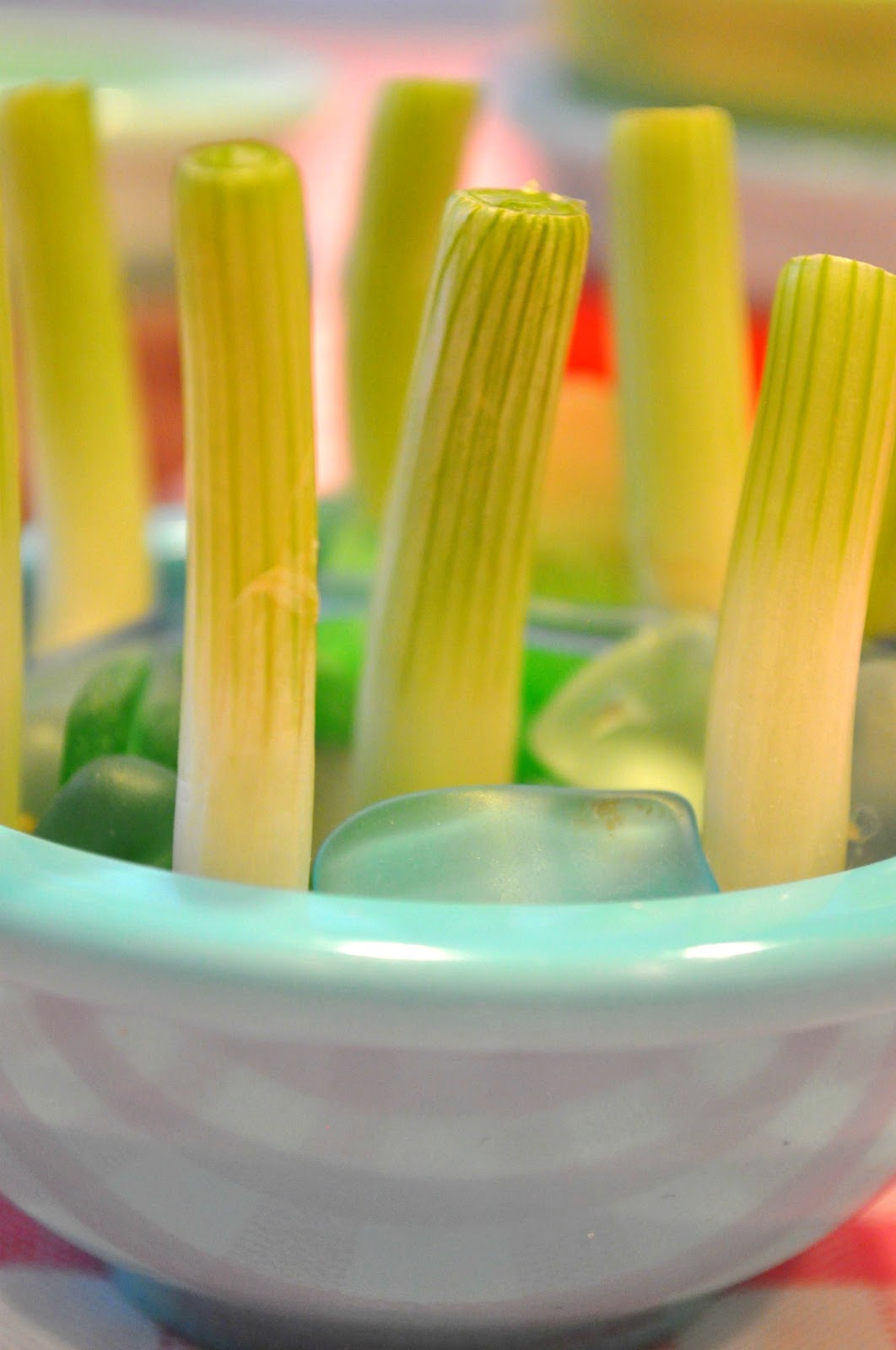 Holiday Sparkle: How To Grow Green Onions