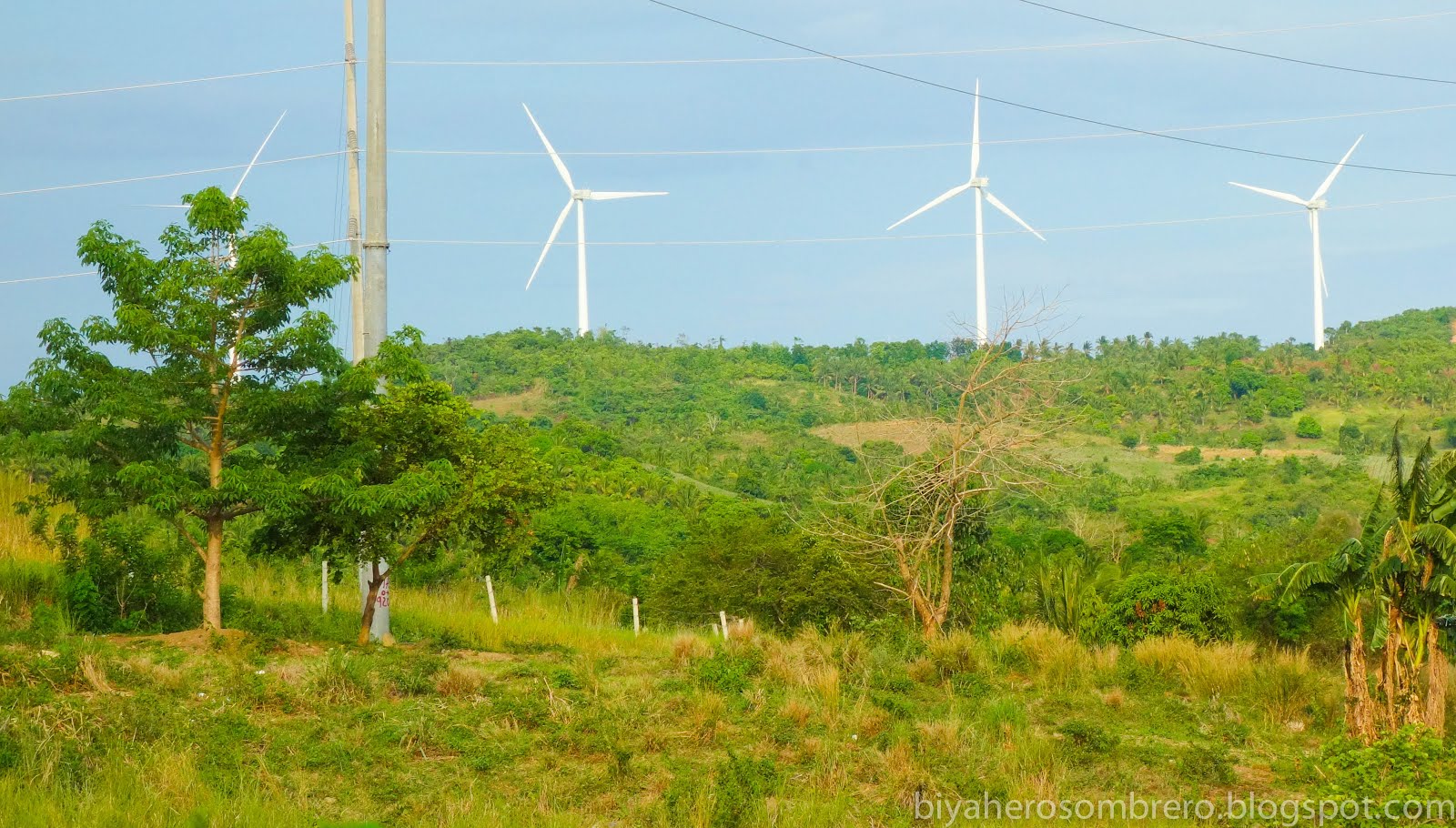 Biyahero Sombrero Travel Blog : The Windmill Farm of Pililla Rizal