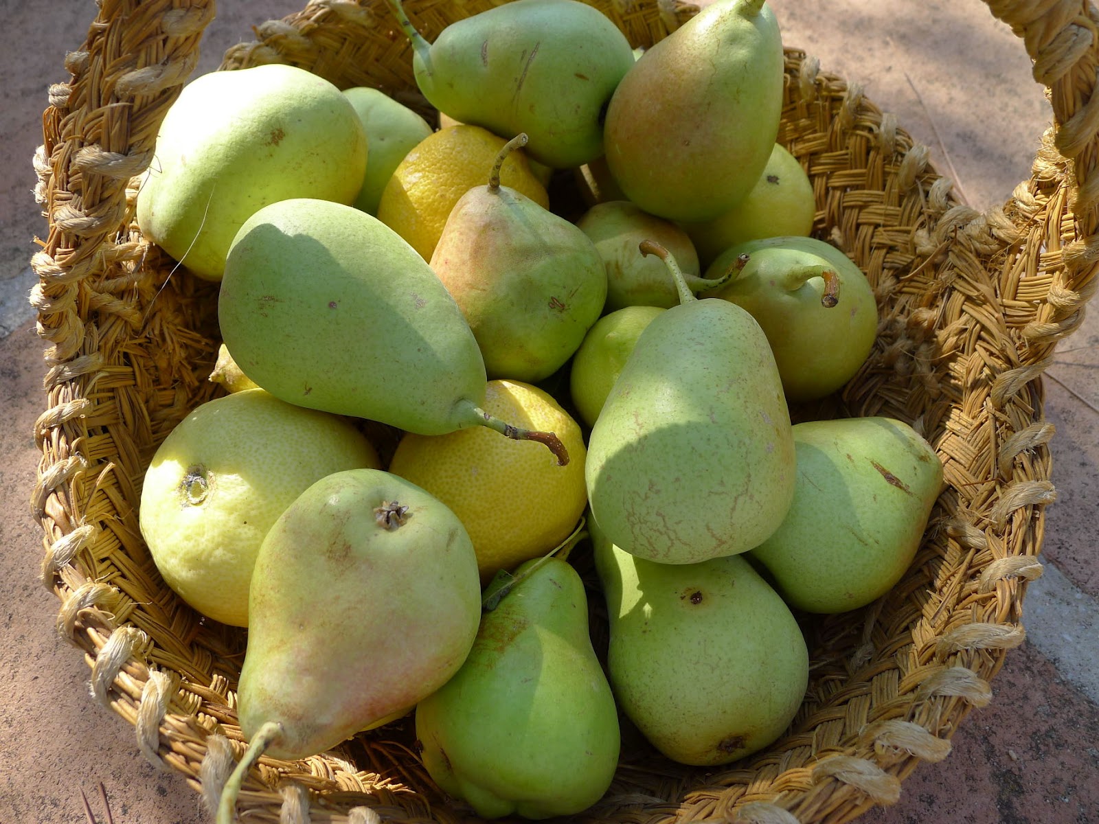 MY KITCHEN IN SPAIN: FROM MY NEIGHBOR'S GARDEN