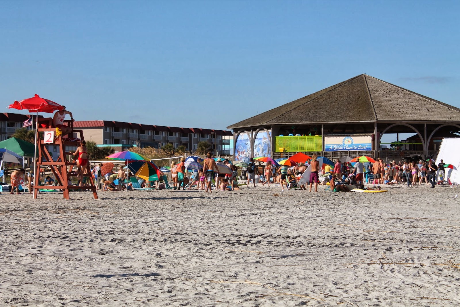 Down by the Bays: She Sells Seashells by the Seashore