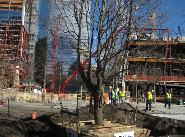 A Little Ditty: Reflections on 9/11, the 10th Anniversary