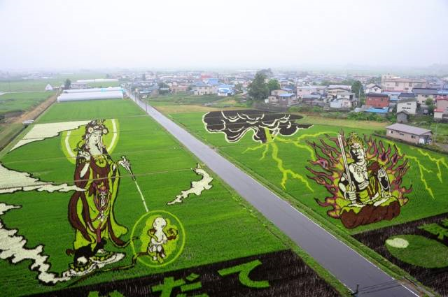Stunning Rice Field Art：emBroider88