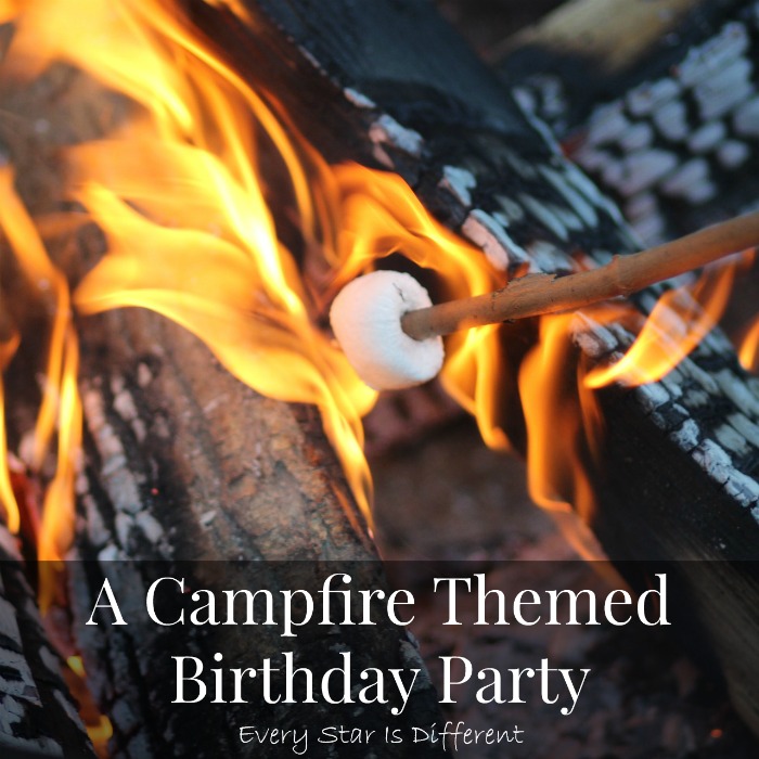A Campfire Themed Birthday Party - Every Star Is Different