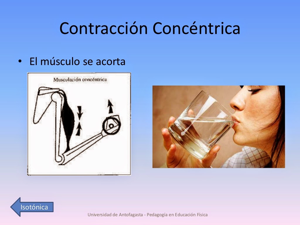 CONTRACCIÓN MUSCULAR