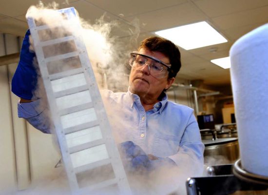 aini fisika: Fisika dalam pembekuan makanan