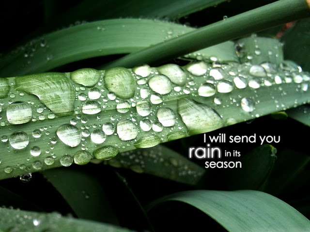 Grace of Jesus Ministry: i will send you rain in its season [ leviticus ...