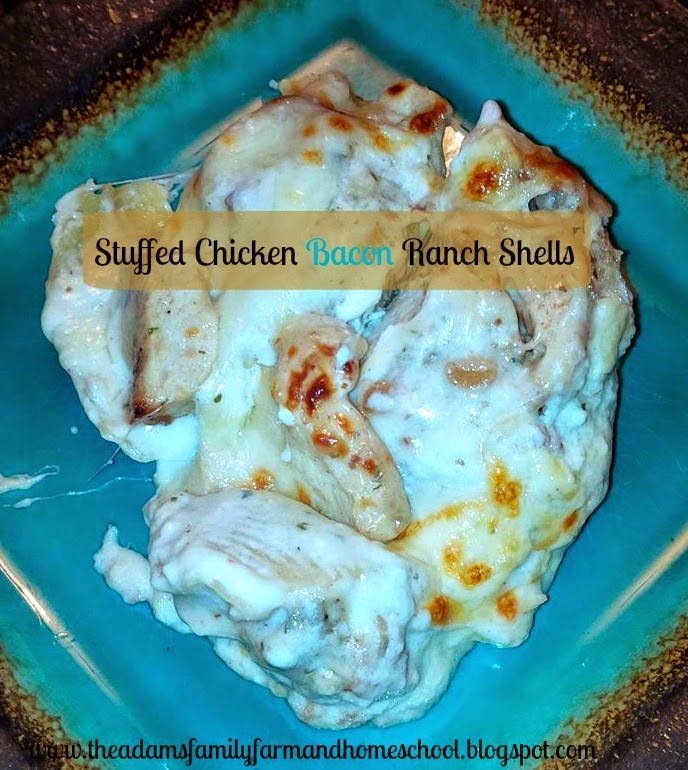 Adams Family Farm and Homeschool: Stuffed Chicken Bacon Ranch Shells